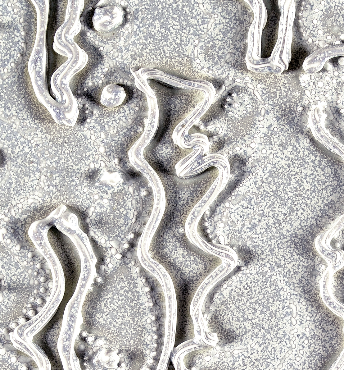 Boris van Berkum | Pattern